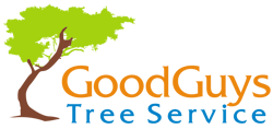 Good Guys Tree Service - Tree Trimming Austin TX