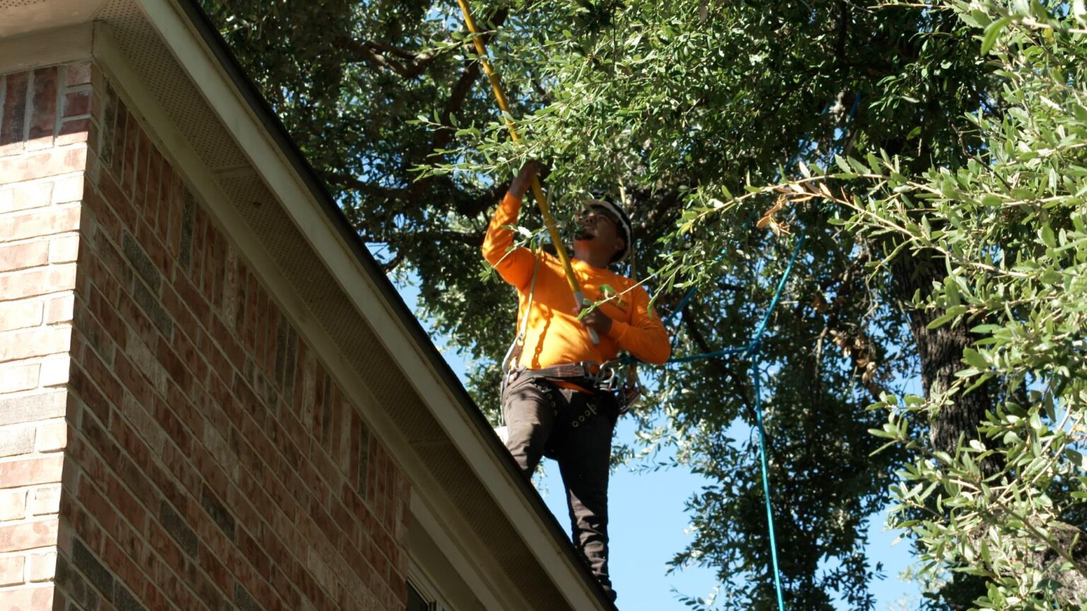 Good Guys Tree Service - Tree Trimming Austin TX