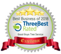 Good Guys Tree Service - Tree Trimming Austin TX