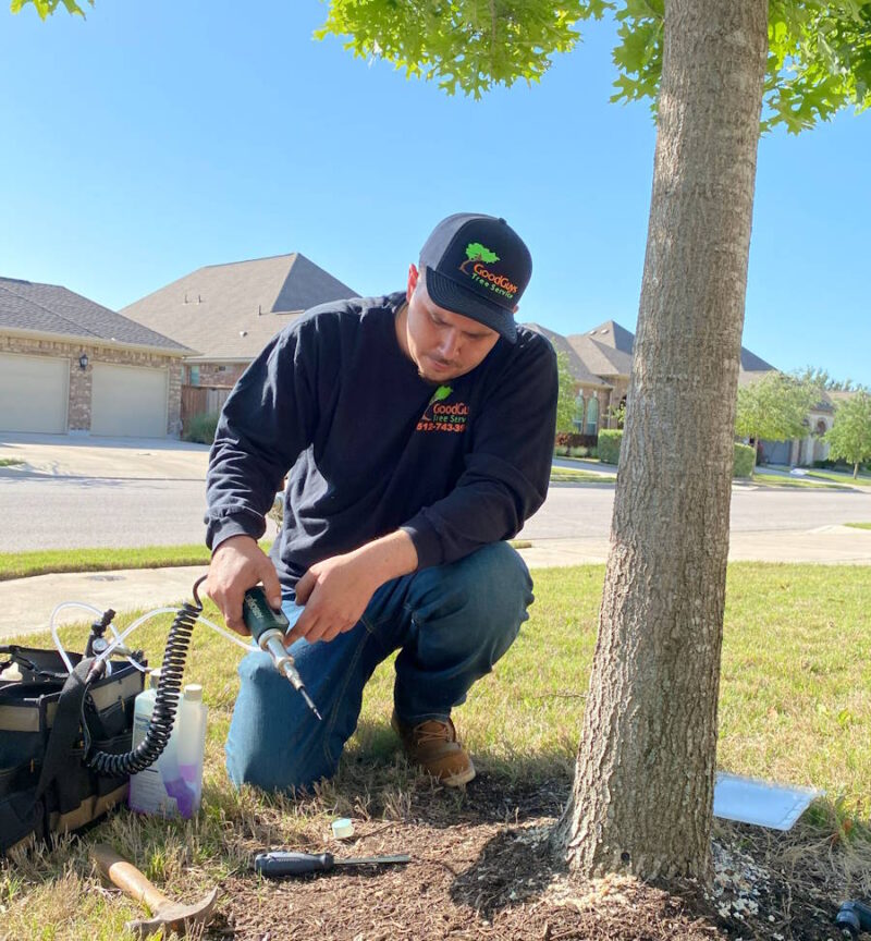 Austin TX Arborist - Good Guys Tree Service